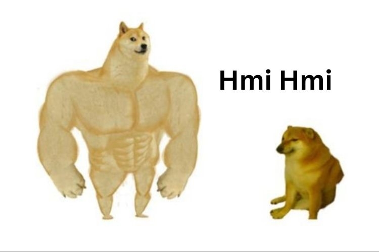 Top meme ảnh chó hài hước trên mạng xã hội, nguồn gốc và ý nghĩa!