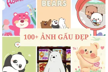 Chia sẻ 100+ ảnh gấu cho hình nền điện thoại siêu đáng yêu