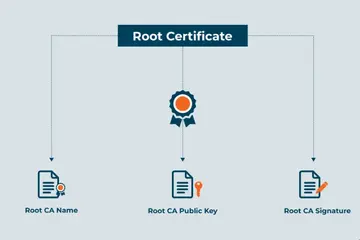 Root Certificate là gì? Chức năng và vai trò của Root Certificate