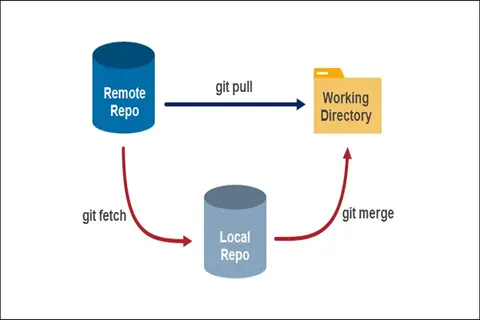 Git pull là gì? Tìm hiểu cách Action mô hình Git pull command