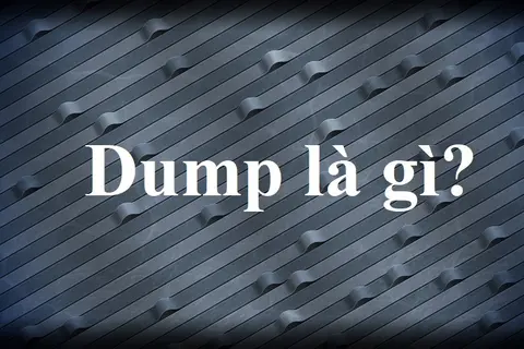 Dump là gì? Giải nghĩa và cách sử dụng từ dump trong các lĩnh vực