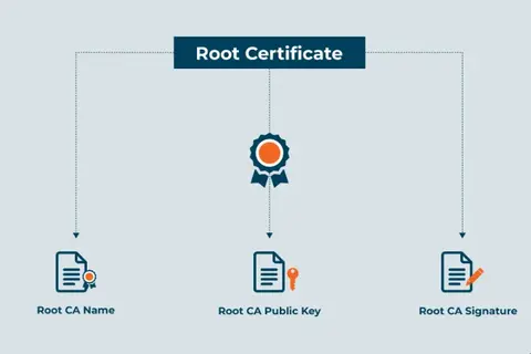 Root Certificate là gì? Chức năng và vai trò của Root Certificate