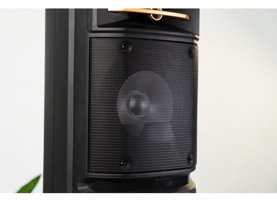 Combo Loa Bluetooth và mic i.value FG206-01