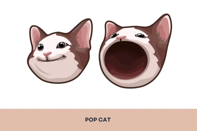 Pop Cat là gì? Lý do tại sao cộng đồng chơi game lại thích?