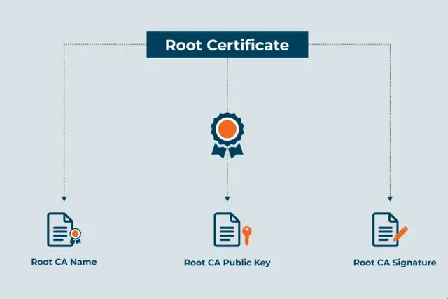 Root Certificate là gì? Chức năng và vai trò của Root Certificate