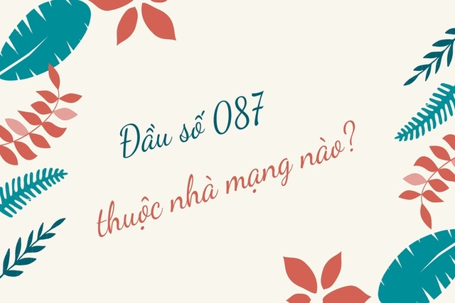 087 là mạng gì? Ý nghĩa phong thủy và cách mua SIM đầu số 087