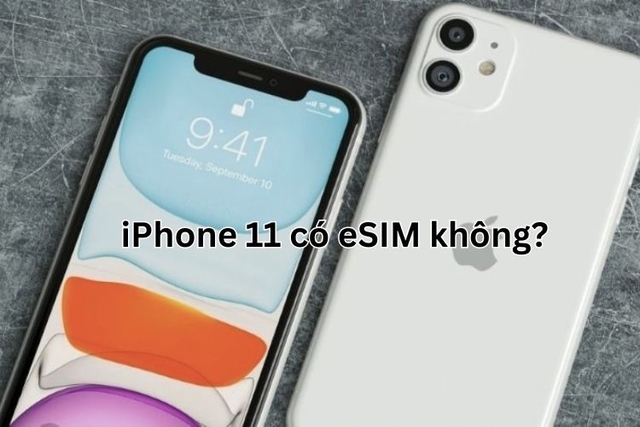iPhone 11 có eSIM không? Hướng dẫn kiểm tra tương thích eSIM