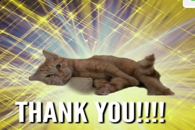 Tổng hợp những meme thank you thịnh hành để bạn tương tác trên mạng xã ...