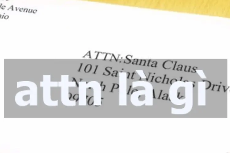 Attn là gì? Bật mí bí quyết sử dụng Attn trong viết email