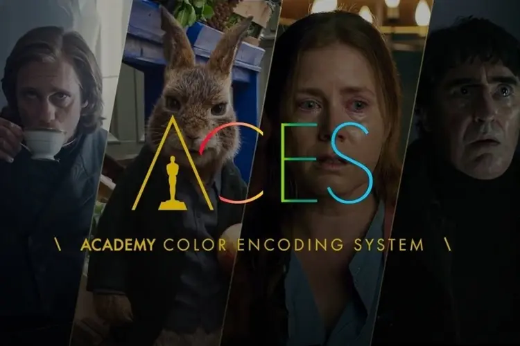 Academy Color Encoding System trên các dòng iPhone là gì?