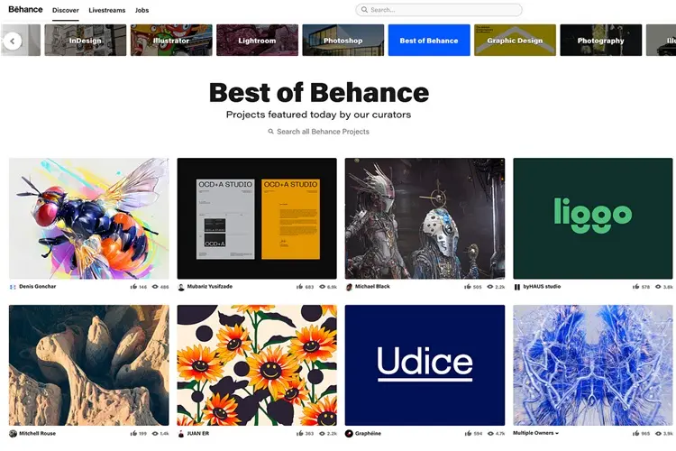 Behance bị chặn: Nguyên nhân và những cách khắc phục hiệu quả