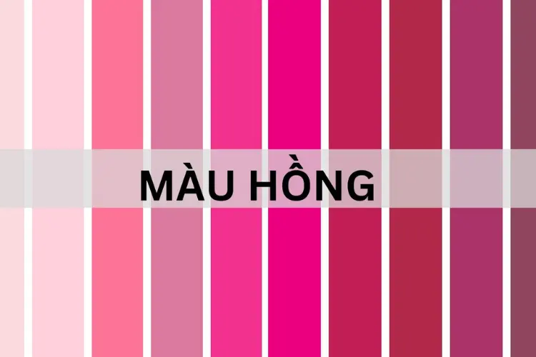 Cách pha màu hồng chuẩn tone đẹp, tự nhiên, chi tiết từ A-Z