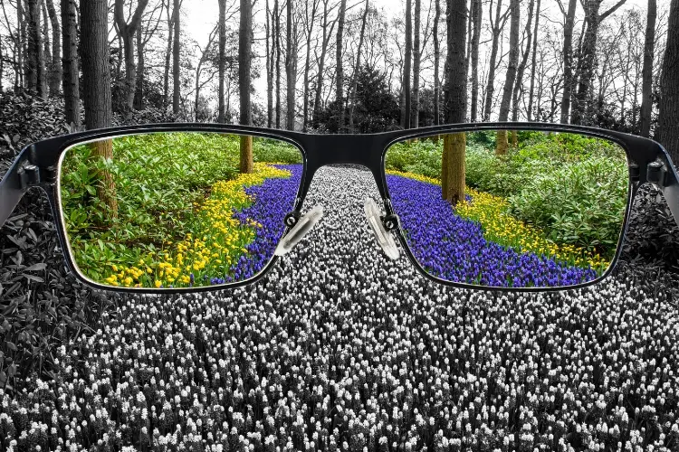 Gợi ý app test mù màu giúp kiểm tra thị lực màu tại nhà