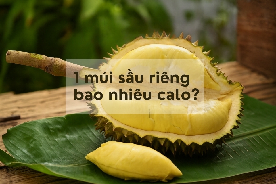 1 múi sầu riêng bao nhiêu calo? Ăn nhiều có béo không?