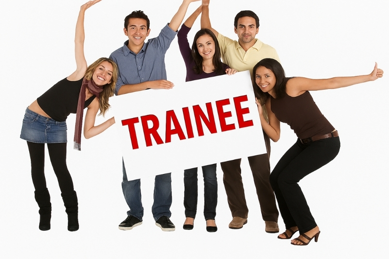 Trainee là gì? Cách phân biệt với intern và các vị trí trainee phổ biến ...