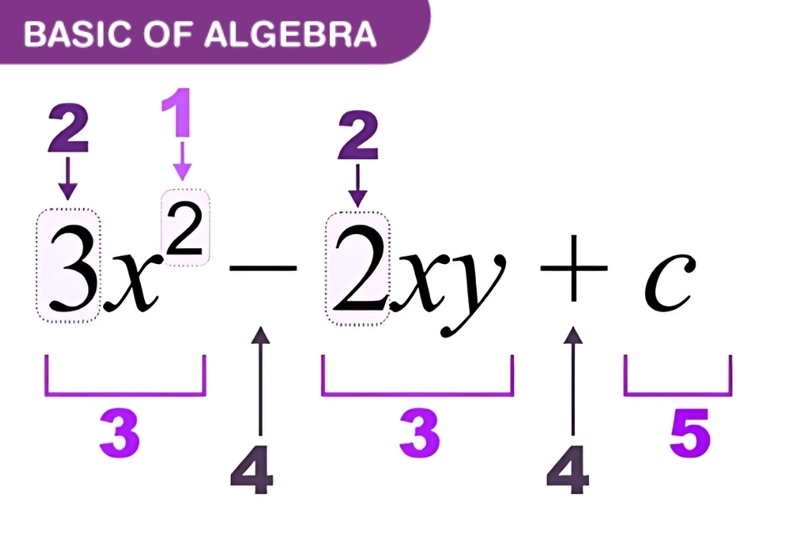 Algebra là gì? Giải mã ngôn ngữ của toán học
