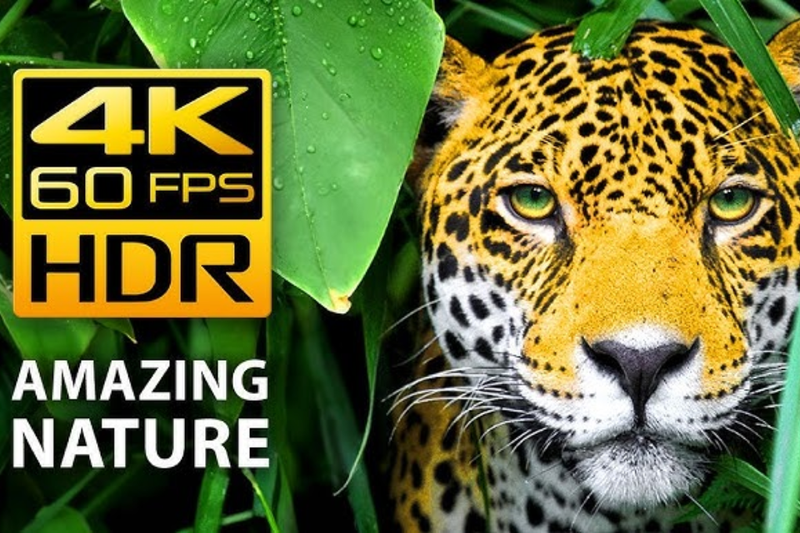 Quay video 4K 60fps trên iPhone 17: Chất lượng vượt trội hơn Full HD