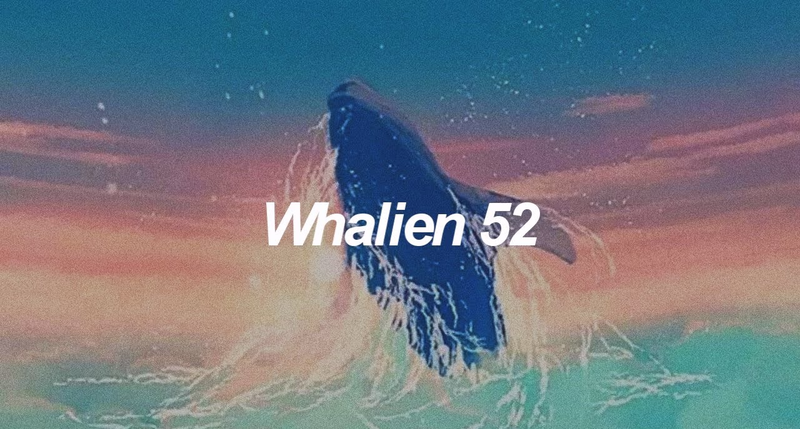 52Hz là gì? Giải mã về chú cá voi 52 hertz cô đơn nhất đại dương