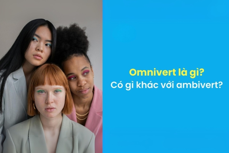 Omnivert là gì? Khám phá kiểu tính cách biến hóa khôn lường như tắc kè ...