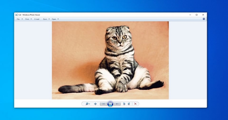 Windows Photo Viewer - Những điều về công cụ xem ảnh đơn giản có thể ...