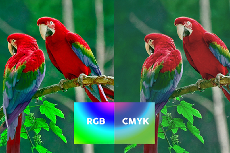 CMYK là gì? Tìm hiểu chi tiết hệ màu CMYK, sự khác biệt với RGB