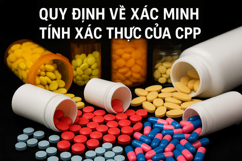 CPP là gì? Những quy định quan trọng về Giấy chứng nhận sản phẩm dược phẩm (CPP)
