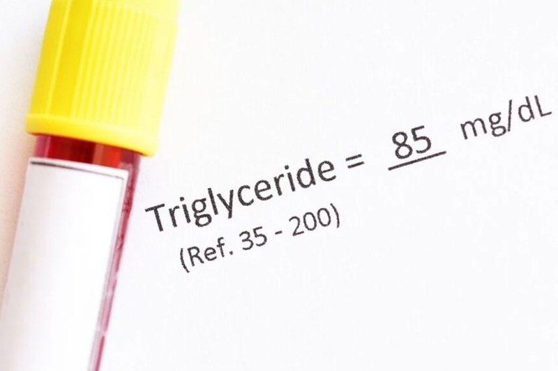 Chỉ số Triglyceride là gì? Hiểu rõ về chất béo trung tính và ý nghĩa ...