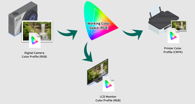 Color Profile là gì? Đừng bỏ qua bài viết này nếu bạn muốn ảnh in ra ...