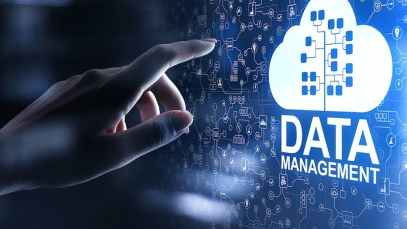 Master Data Management là gì? Tầm quan trọng và lợi ích