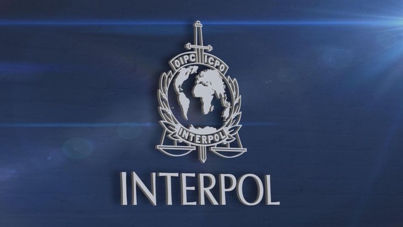 INTERPOL là gì? Lịch sử hình thành và phát triển của INTERPOL