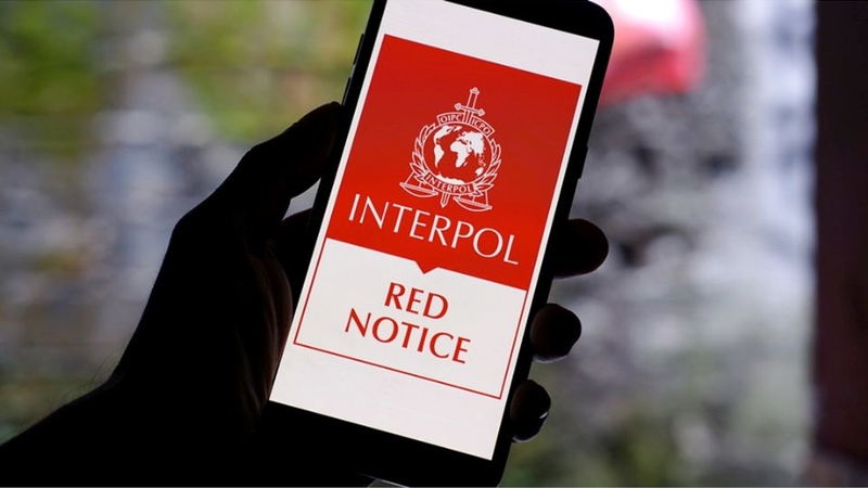 INTERPOL là gì? Lịch sử hình thành và phát triển của INTERPOL