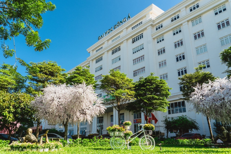 Điểm danh chi tiết những trường đại học ở Đà Nẵng uy tín, chất lượng