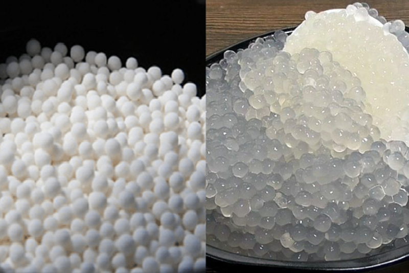 Sago là gì? Khám phá nguồn gốc và công dụng thực tế của loại tinh bột ...