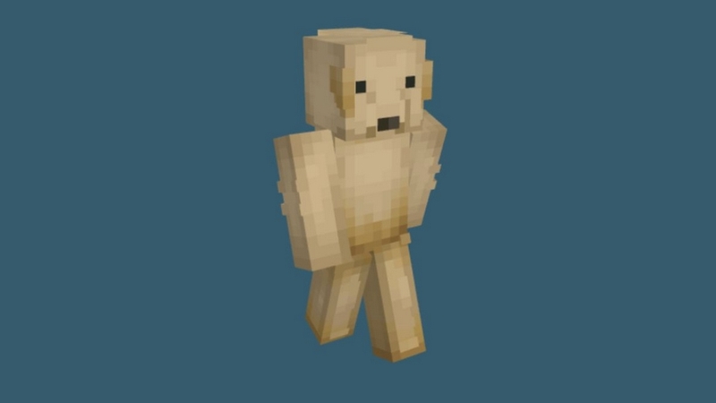 Khám phá skin Minecraft meme hài hước, tăng vui nhộn khi chơi