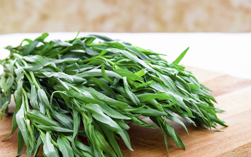 Tarragon là gì? Thành phần dinh dưỡng và công dụng của Tarragon