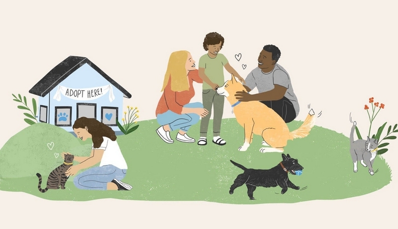 Adopt là gì? Cách dùng, ví dụ chi tiết và phân biệt với “adapt” trong ...