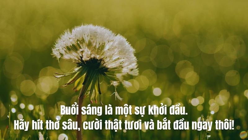 30+ ảnh động lực hay nhất để bạn có thêm tự tin để bước tiếp