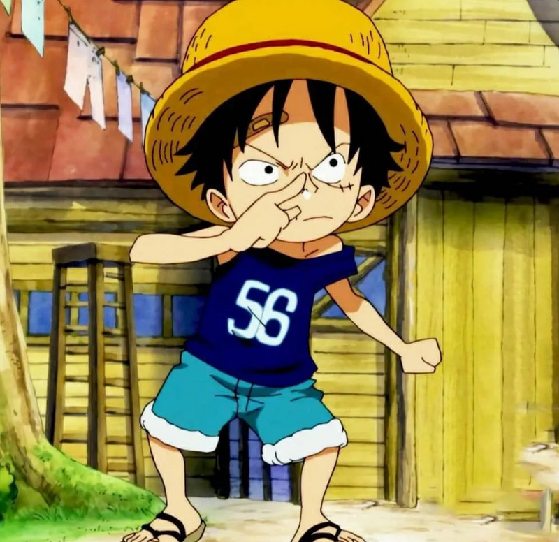 100+ avatar Luffy đa dạng chủ đề độc đáo để bạn thoải mái tải về làm ...