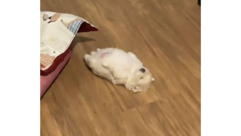 Tổng hợp avatar hài hước và ấn tượng nhất trên mạng xã hội