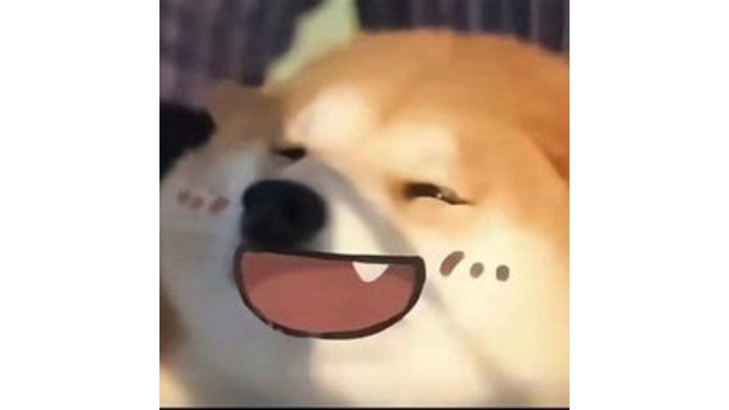 Bộ sưu tập avatar meme để làm mới hình đại diện của bạn