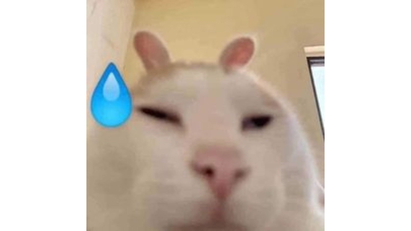 Bộ sưu tập avatar meme để làm mới hình đại diện của bạn