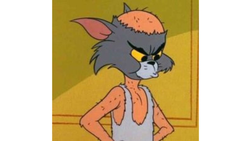 Bộ sưu tập avatar meme để làm mới hình đại diện của bạn