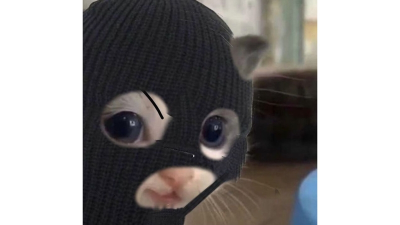 Bộ sưu tập avatar meme để làm mới hình đại diện của bạn