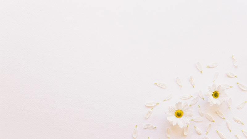 Tải ngay 60+ mẫu background hoa đẹp, độc đáo và trang nhã