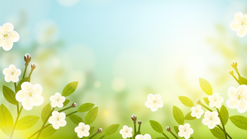 Tải ngay 60+ mẫu background hoa đẹp, độc đáo và trang nhã