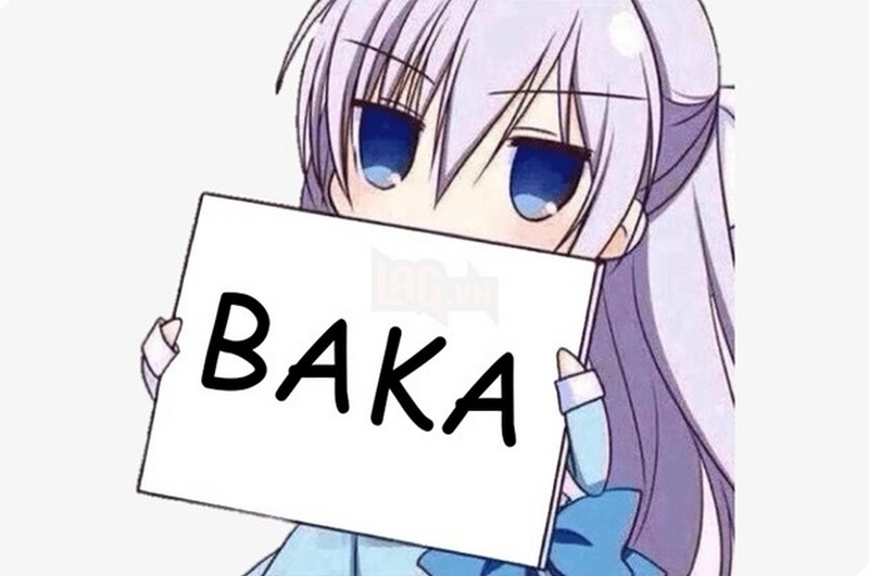 Baka là gì trong tiếng Nhật? Nguồn gốc, ý nghĩa và cách sử dụng đúng ...