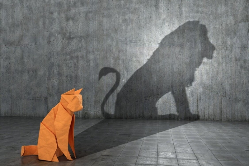 Giải mã bản ngã là gì: Bí quyết để sống thật một cách an yên, yêu thương và làm chủ bản thân