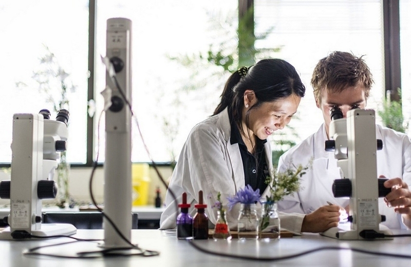 Biotechnology là gì? Cơ hội nghề nghiệp và định hướng tương lai của ...