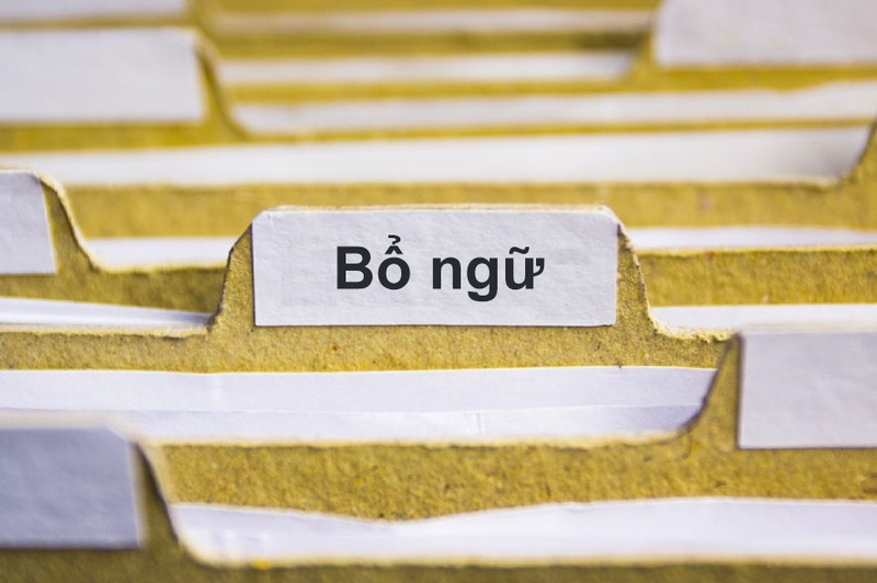 Bổ ngữ là gì? Khái niệm, phân loại và những ví dụ minh họa chi tiết