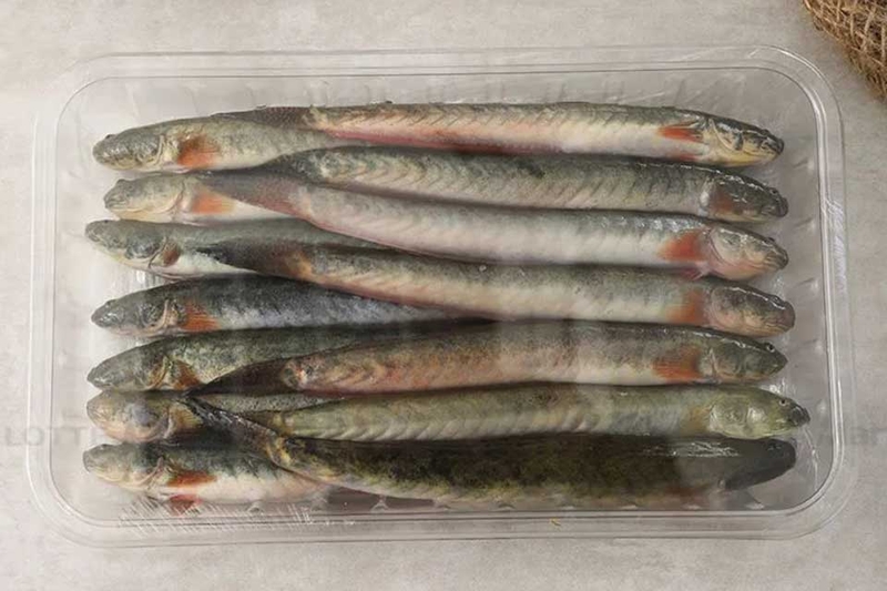 Cá da trơn là gì? Tìm hiểu đặc điểm và những cách chế biến ngon nhất